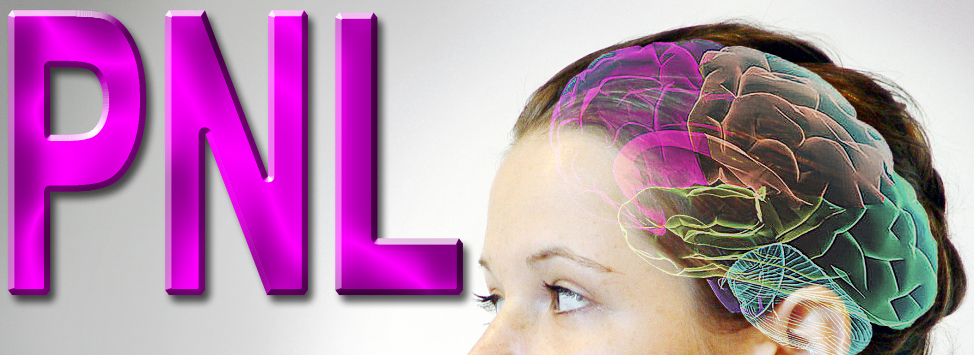 PNL - programmazione neurolinguistica come strumento di gestione ...